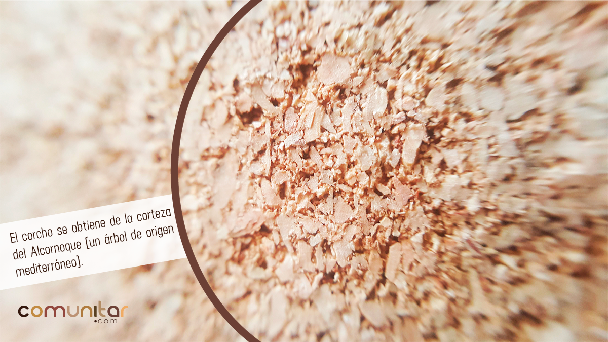 El corcho: origen, propiedades y usos. - Comunitar