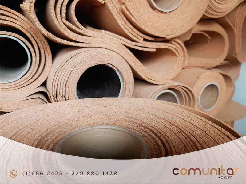 El corcho: origen, propiedades y usos. – Comunitar